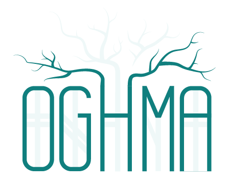 Oghma - Expériences ludiques et immersives